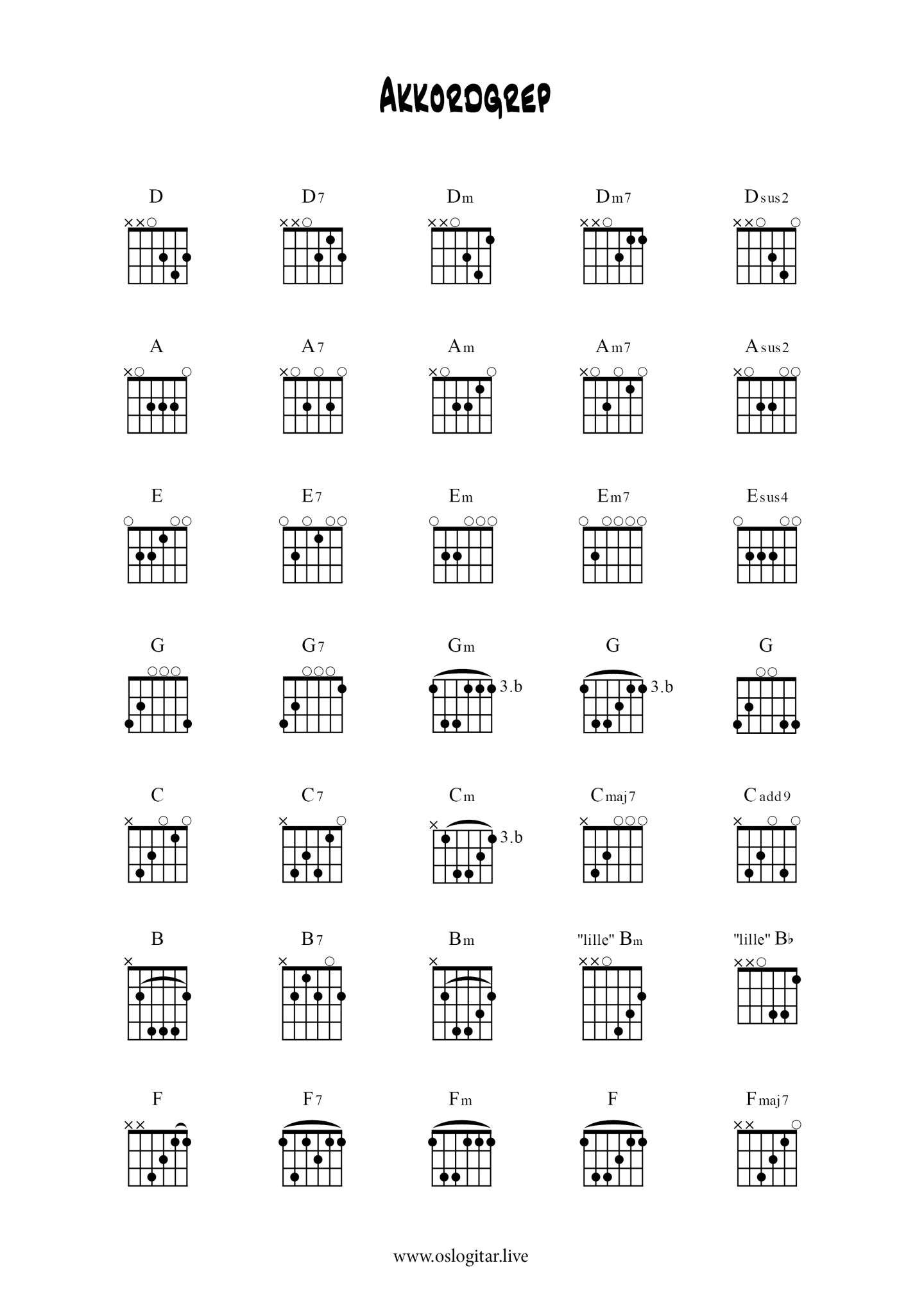 Gitargrep for viderekomne – Terje Børstad