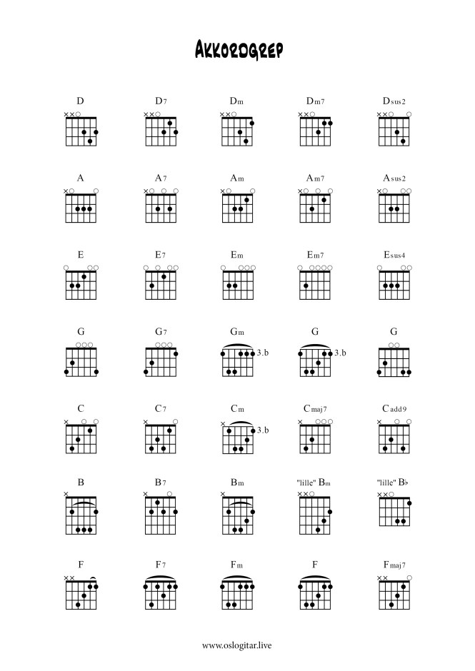 Gitargrep for viderekomne – Terje Børstad